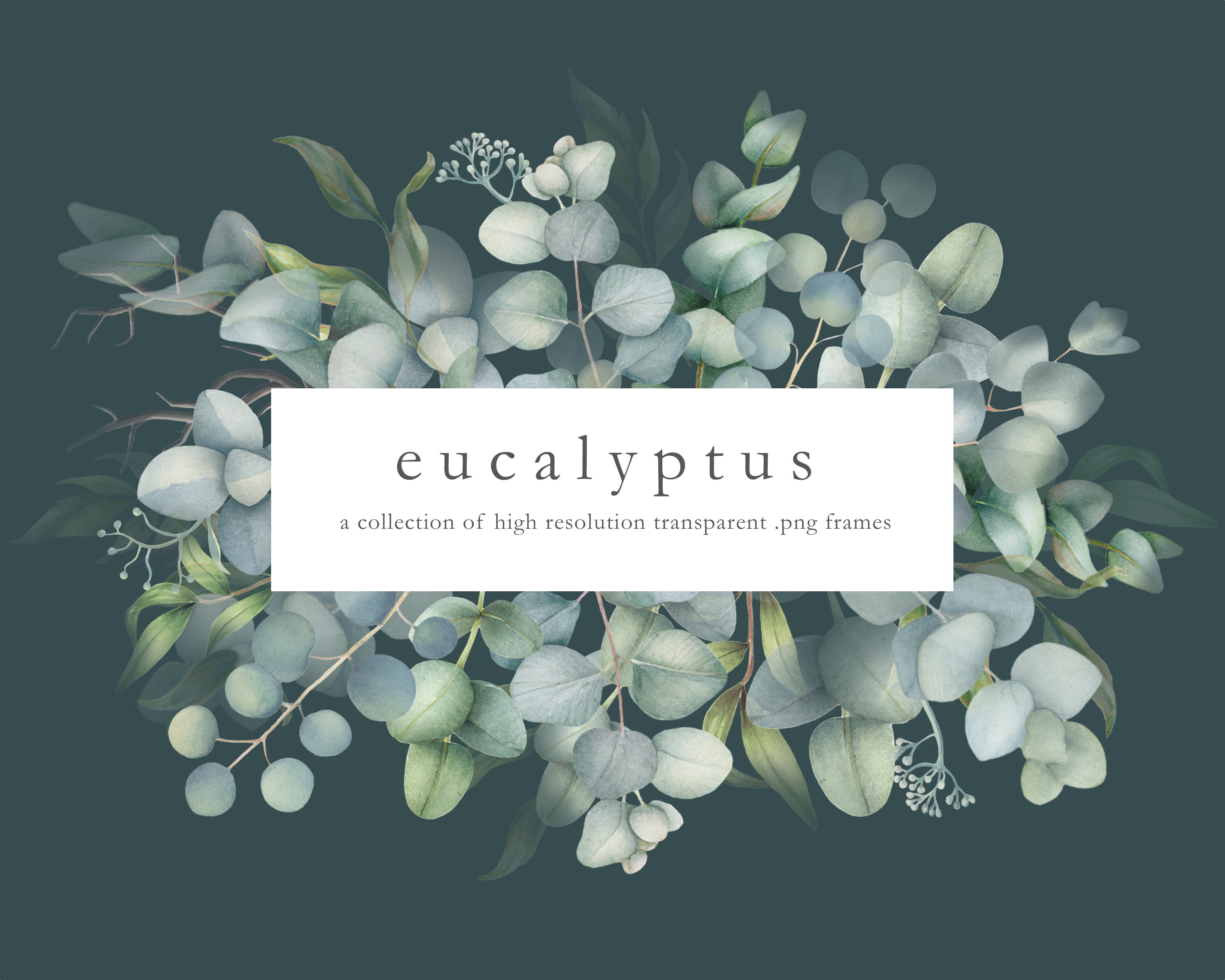 Eucalyptus Frames, Watercolor Eucalyptus, Foliage Frames, Gold, Polygon ...