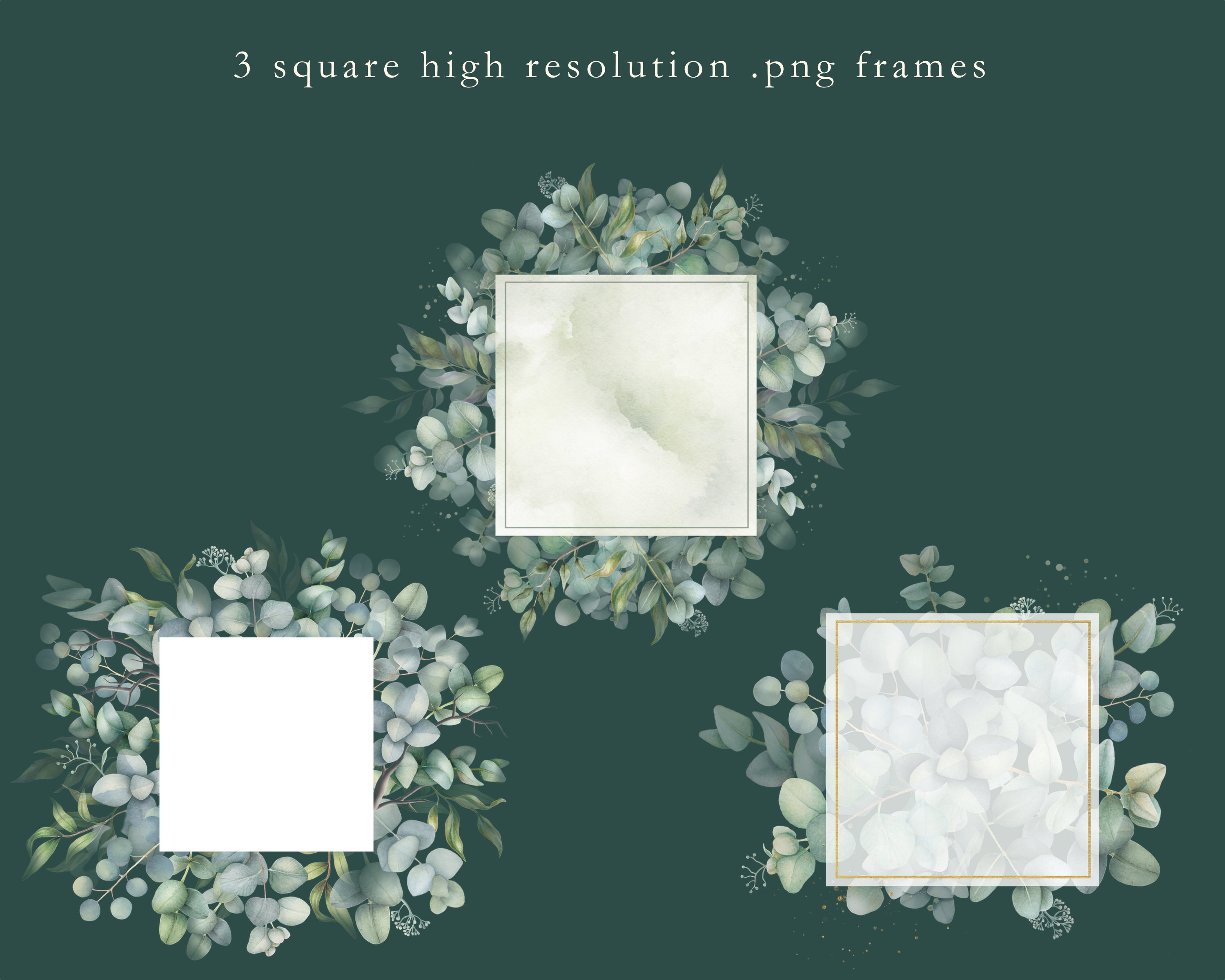 Eucalyptus Frames Watercolor Eucalyptus Foliage Frames - Etsy