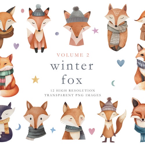 Winter Animals Clipart Commercial Use Winter Png Clip Art - Etsy