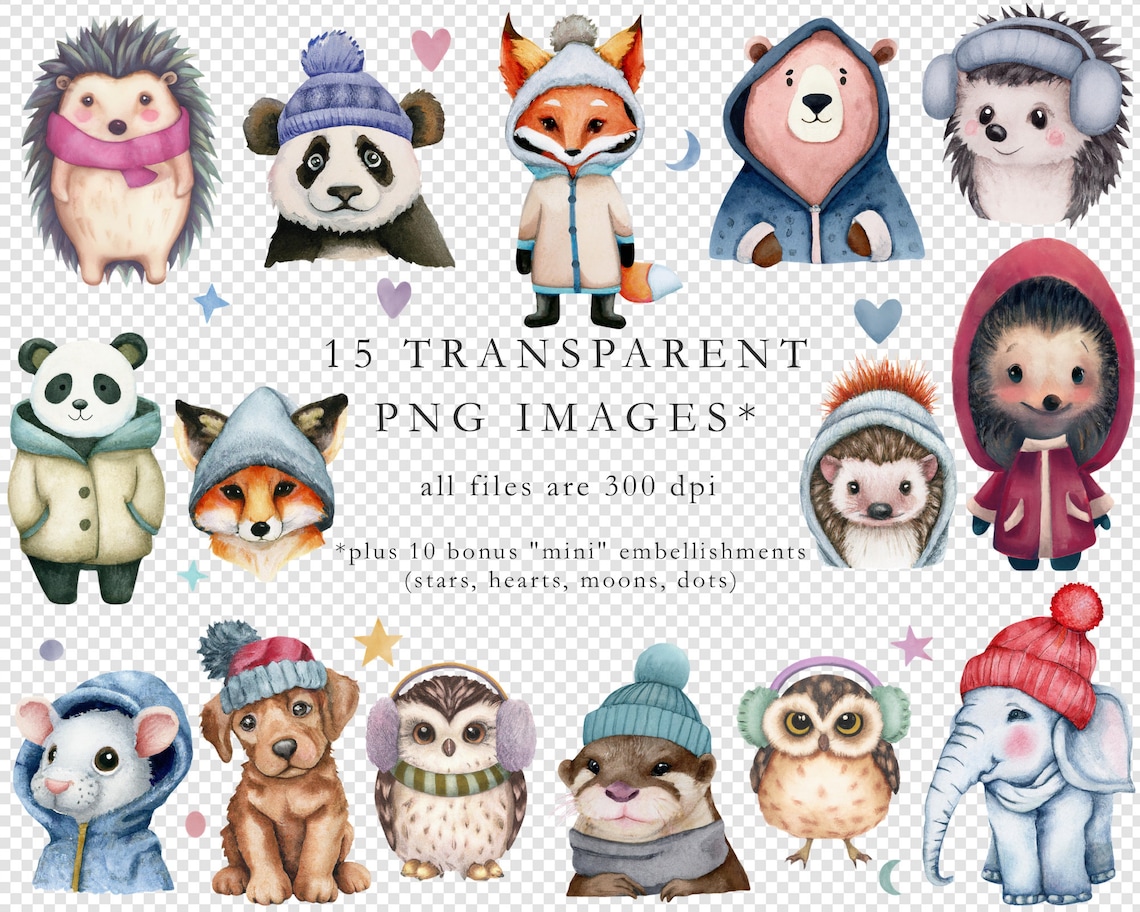 Winter Animals Clipart Commercial Use Winter Png Clip Art - Etsy