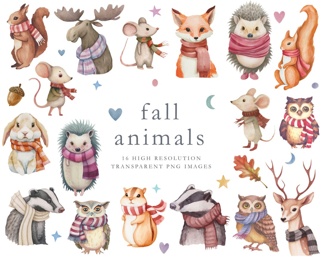 Cute Animals Clipart, Watercolor Animals, Fall Clipart, Autumn Clipart ...