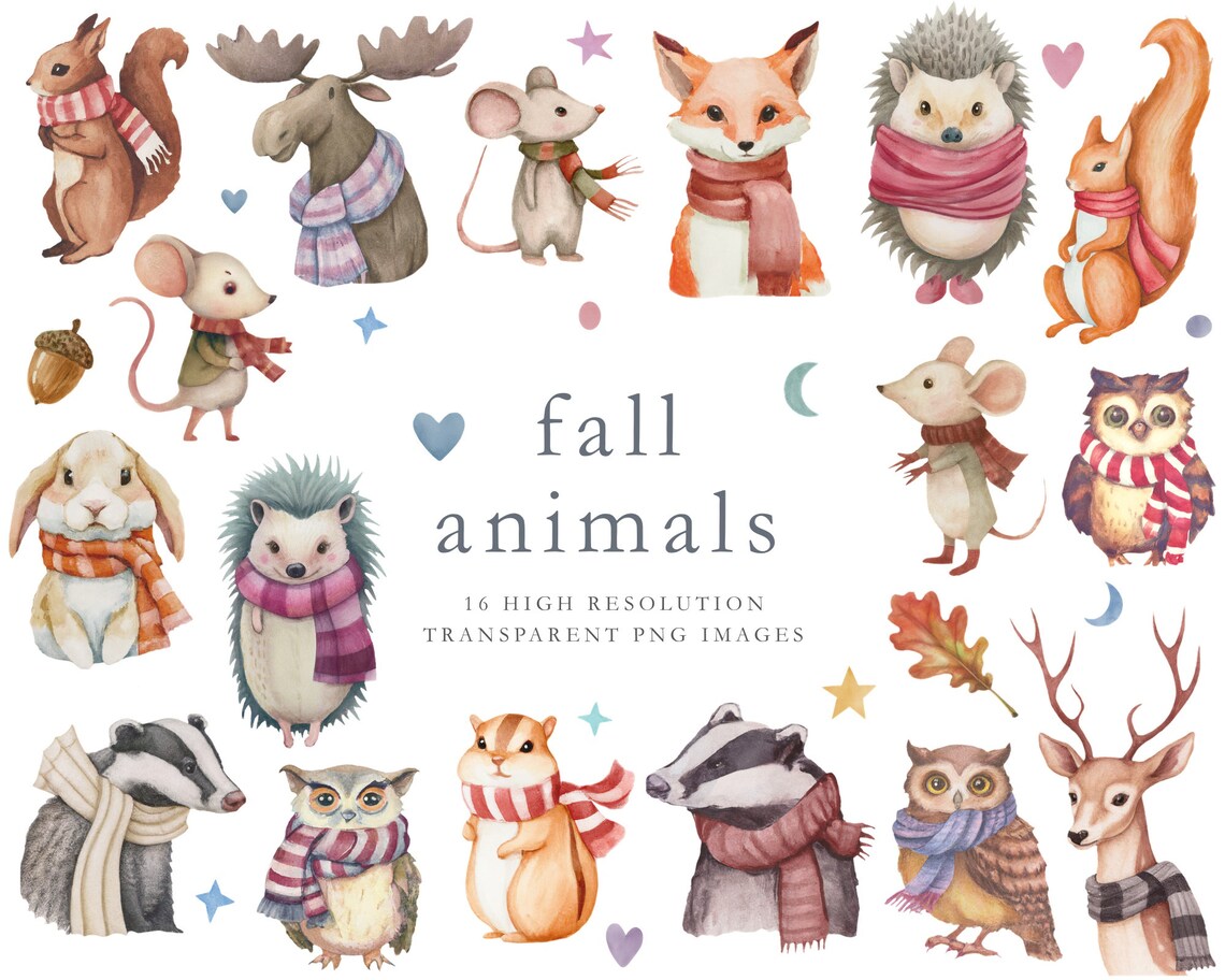 Cute Animals Clipart Watercolor Animals Fall Clipart Autumn - Etsy