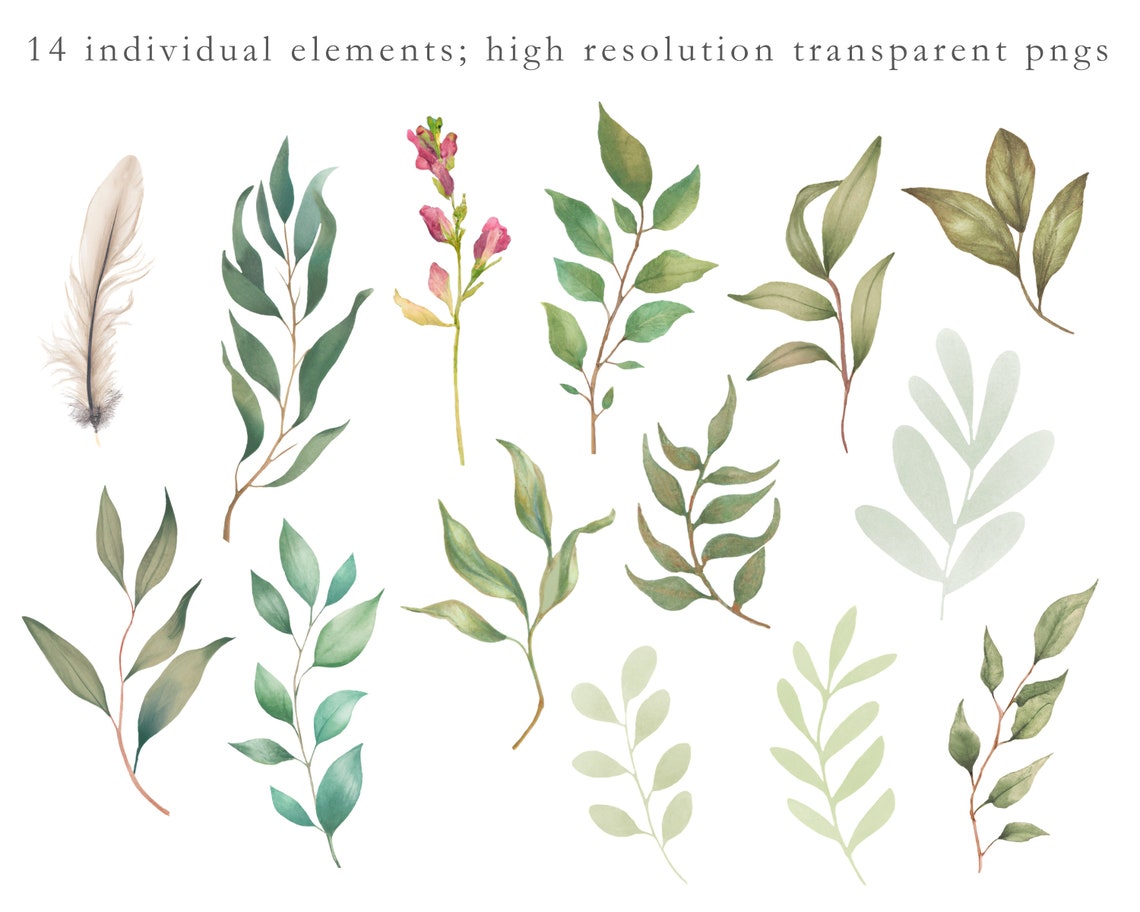 Watercolor Foliage Clipart Leaves Leaf Polygon Frames - Etsy