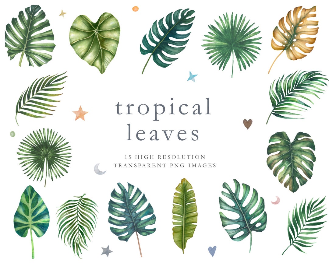 Tropical Leaves Watercolor Clipart, Watercolor Tropical Leaves, Jungle ...