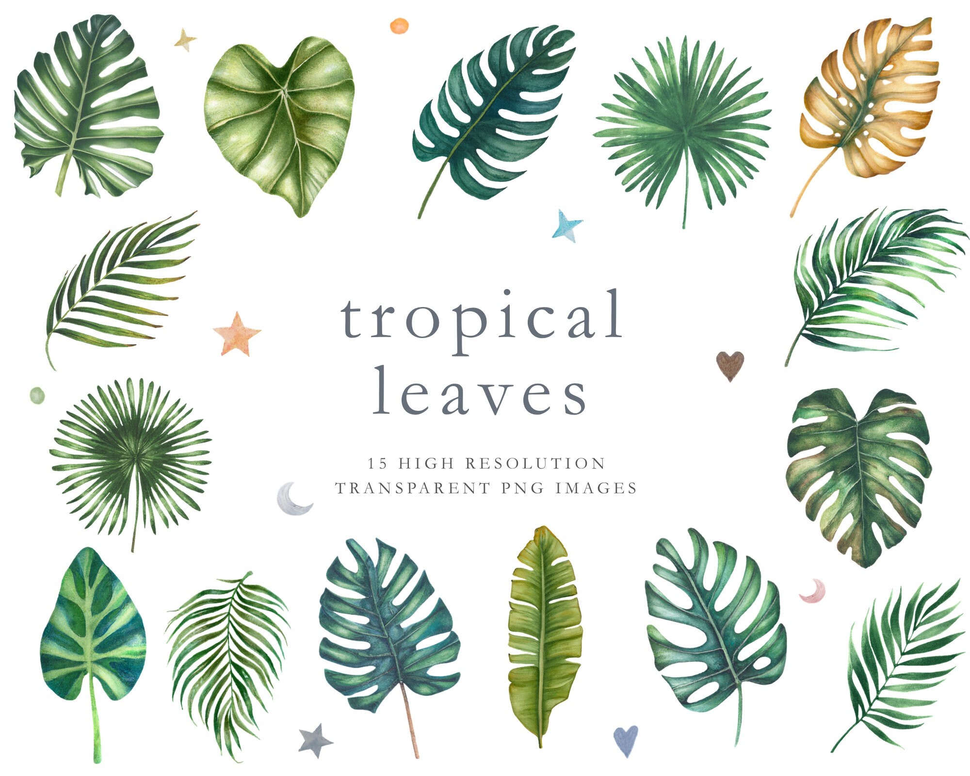 Tropical Leaves Watercolor Clipart Watercolor Tropical - Etsy