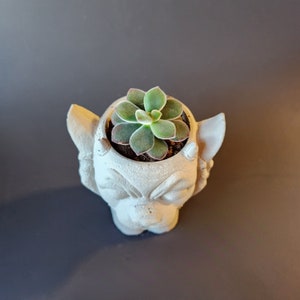 Concrete Gargoyle Planter Head Planter Pot Hear No Evil Table Decor ...