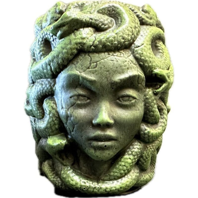 Medusa Head Flower Pot - Etsy
