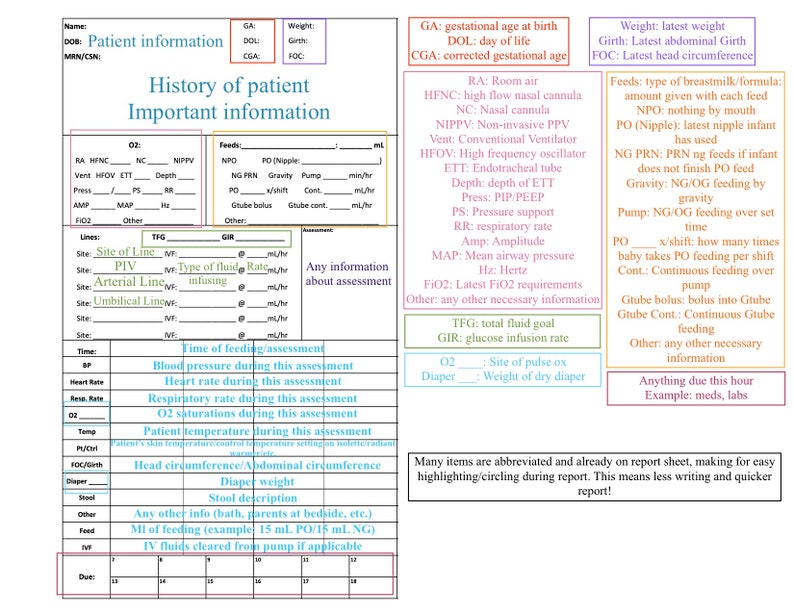 NICU Report Sheet/brain for 2 Patients - Etsy