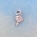 Carnation Dangle Charm,new Genuine 925 Sterling Silver Charm for ...