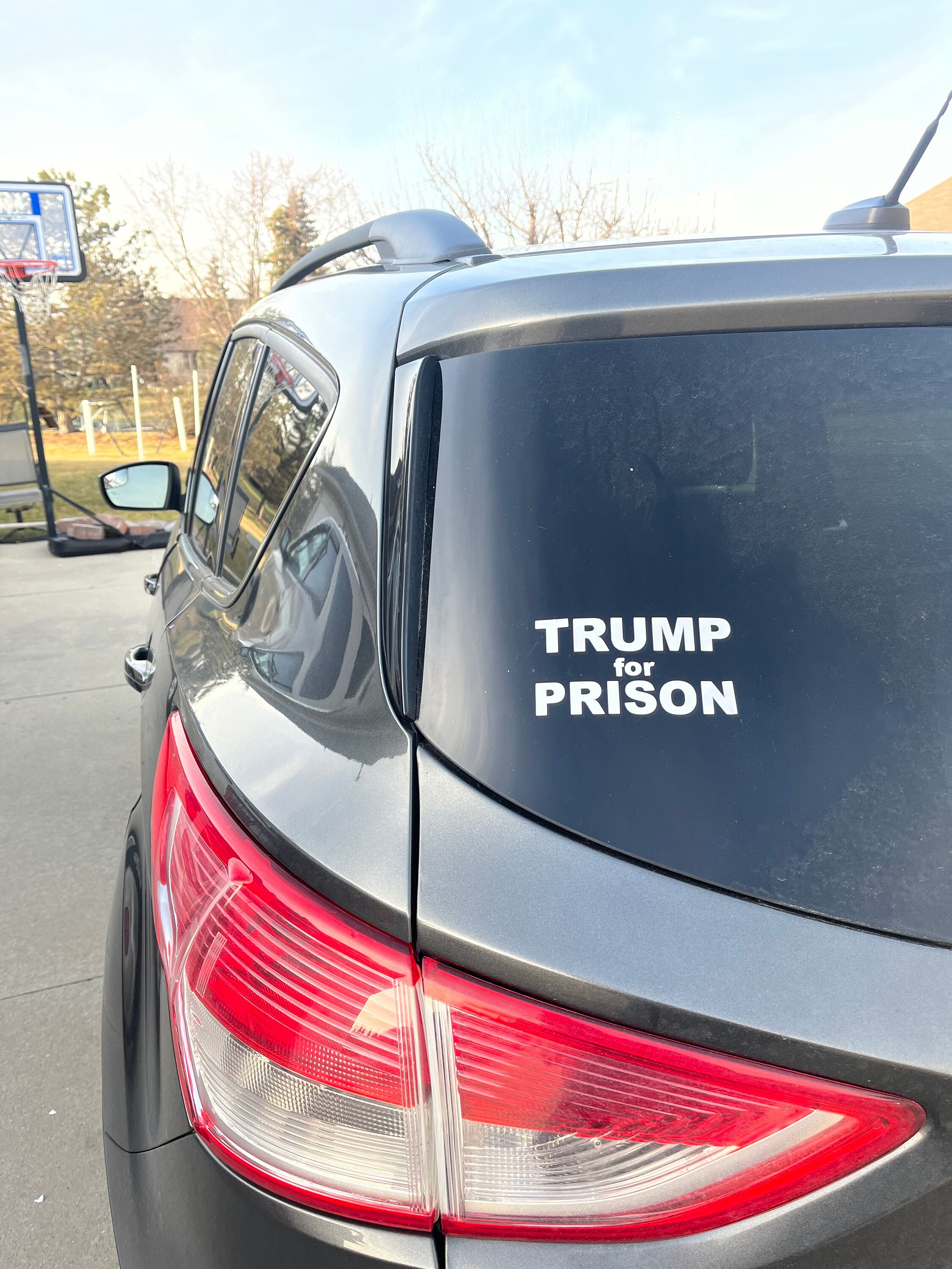 Trump for Prison Vinyl Decal - Etsy