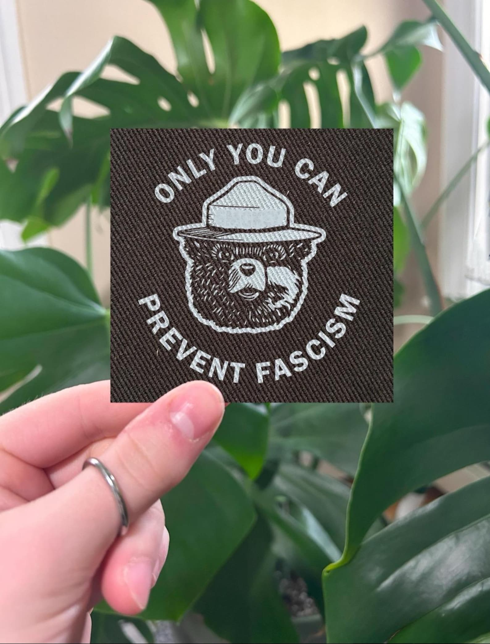 Prevent Fascism Patch- Bear Activism Punk Screenprinted Art - Etsy
