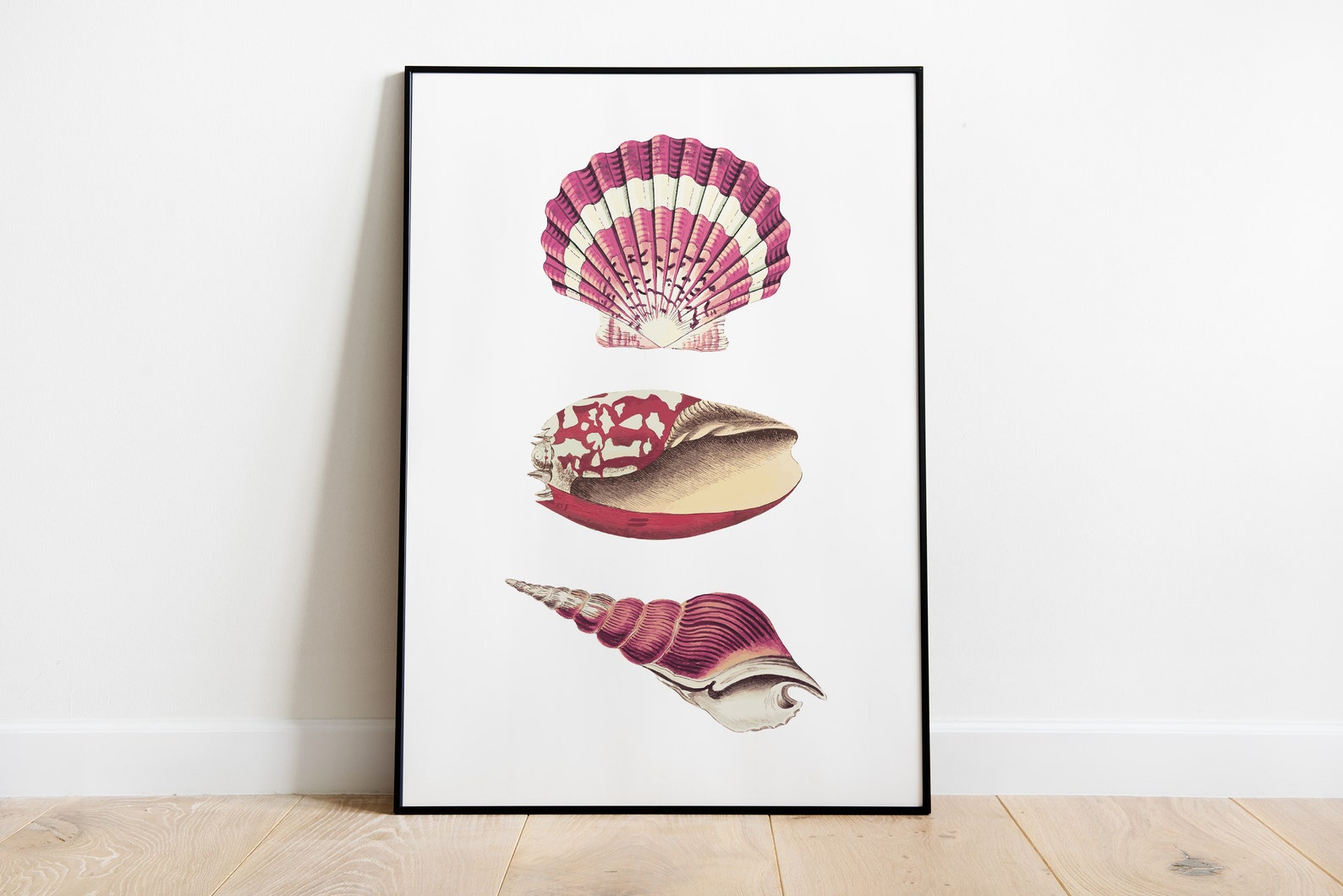 Pink Shells Coastal Art Print, Beach House Decor (digital Download) - Etsy
