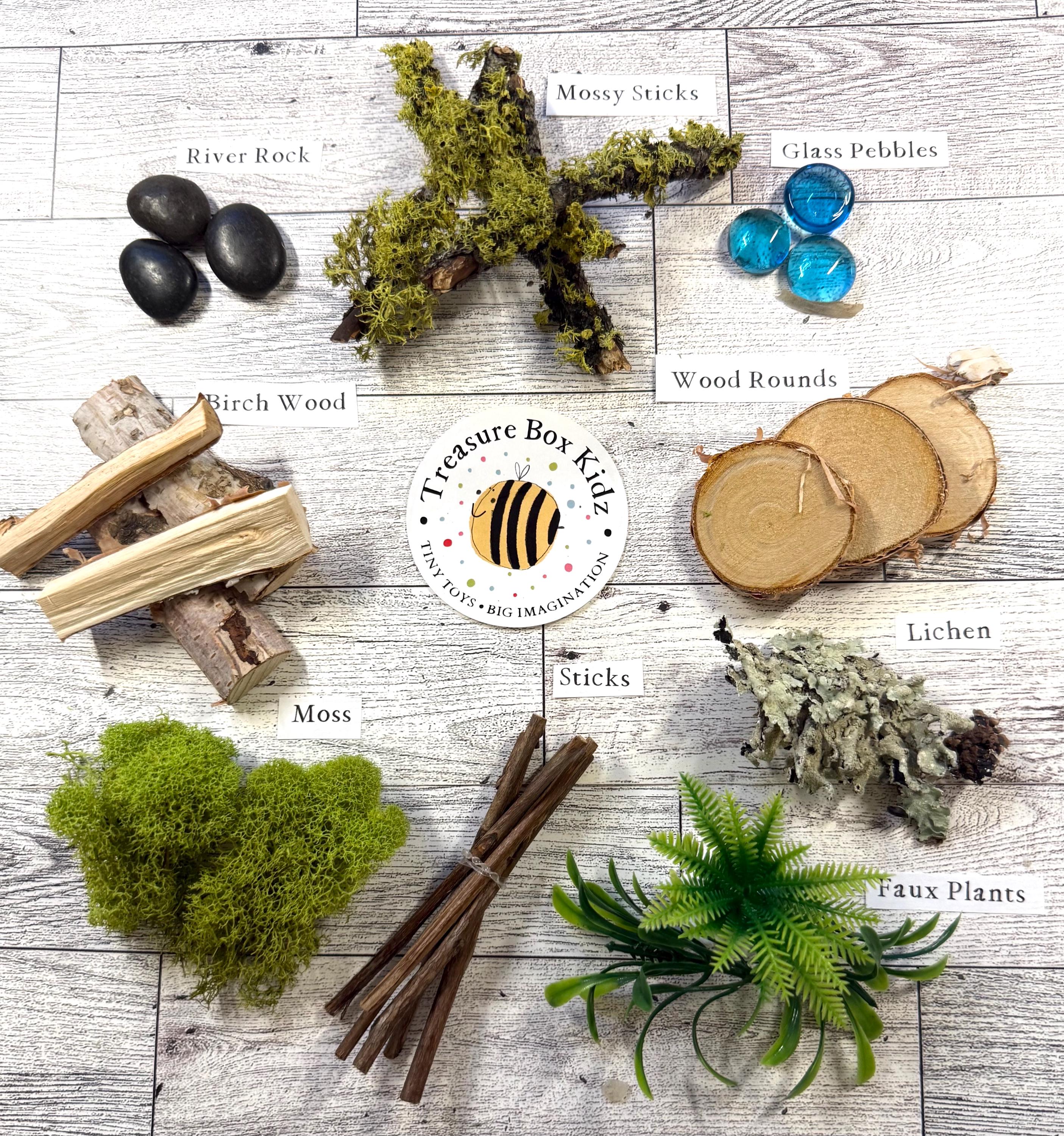Insects! A Creepy Crawly Treasure Box / Science Kit for Curious Little ...