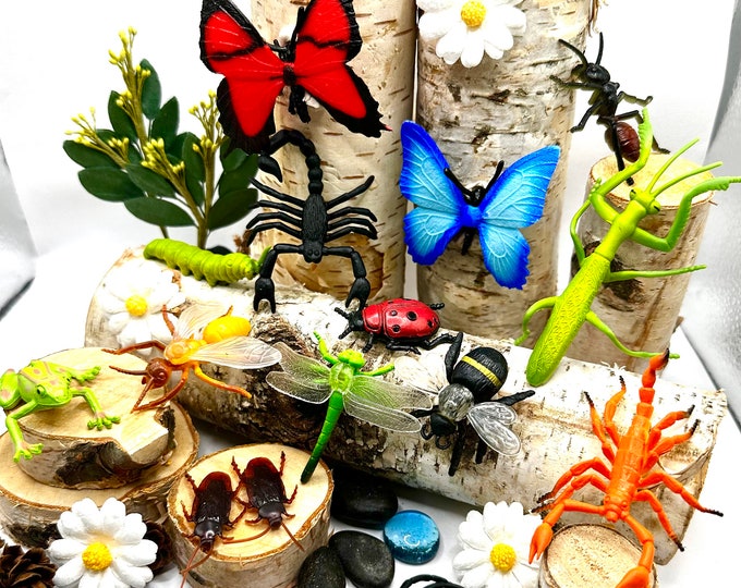Insect & Creepy Crawlers Treasure Box: Bug Trinket Box / Sensory Play ...