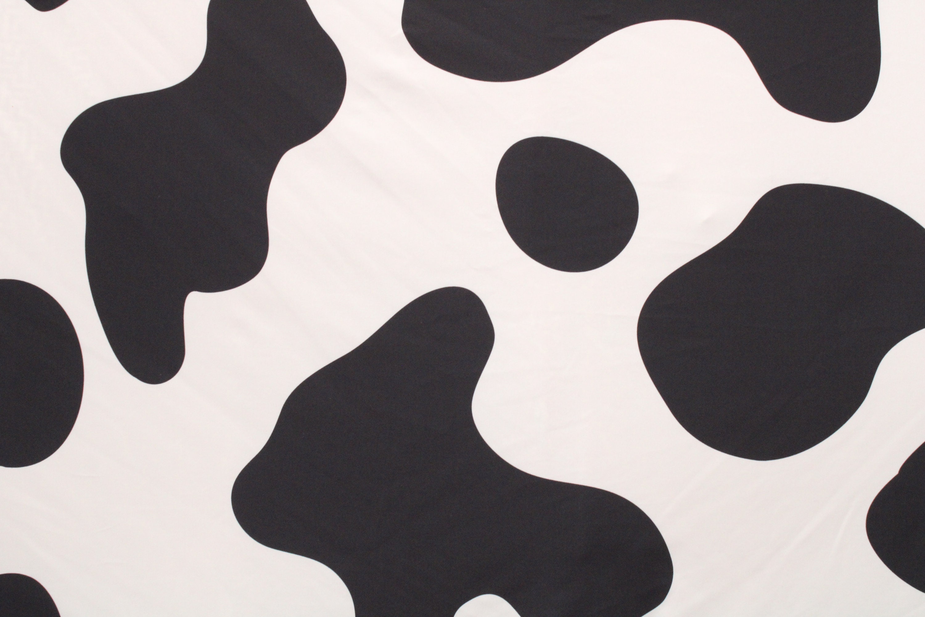 Large Cow Print Black and White Cow 4 Way Stretch Spandex Sold by the ...