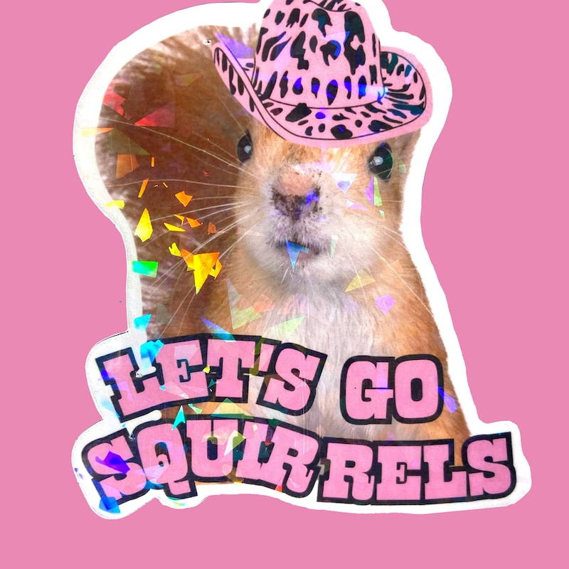 Funny Squirrel Magnets - Etsy