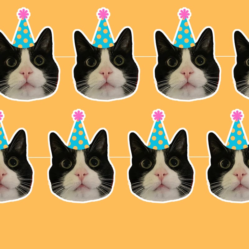 Birthday Face and Cat Banner - Etsy