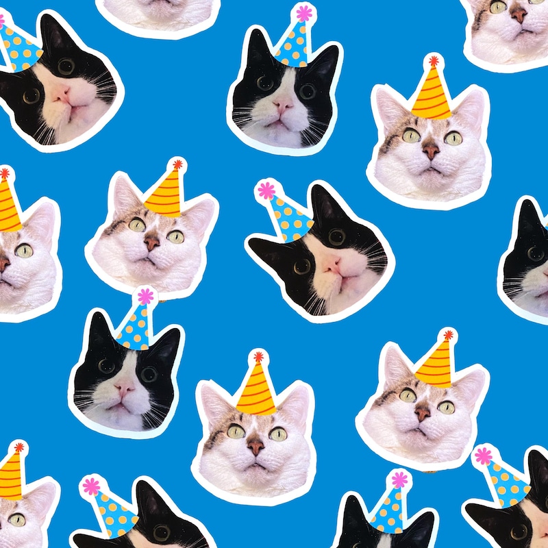 Cat Confetti - Etsy