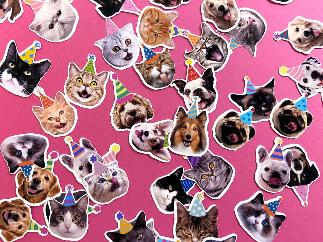 Cat and Dog Birthday Confetti, Cat Birthday Party Decorations, Dog ...