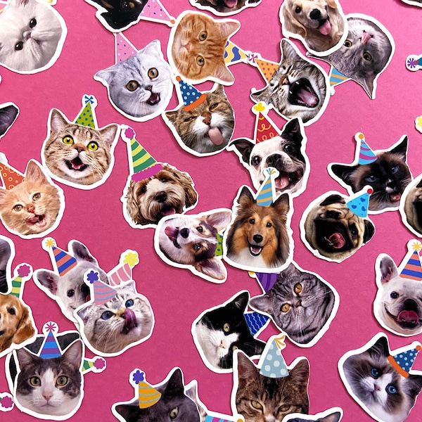 Cat Confetti - Etsy