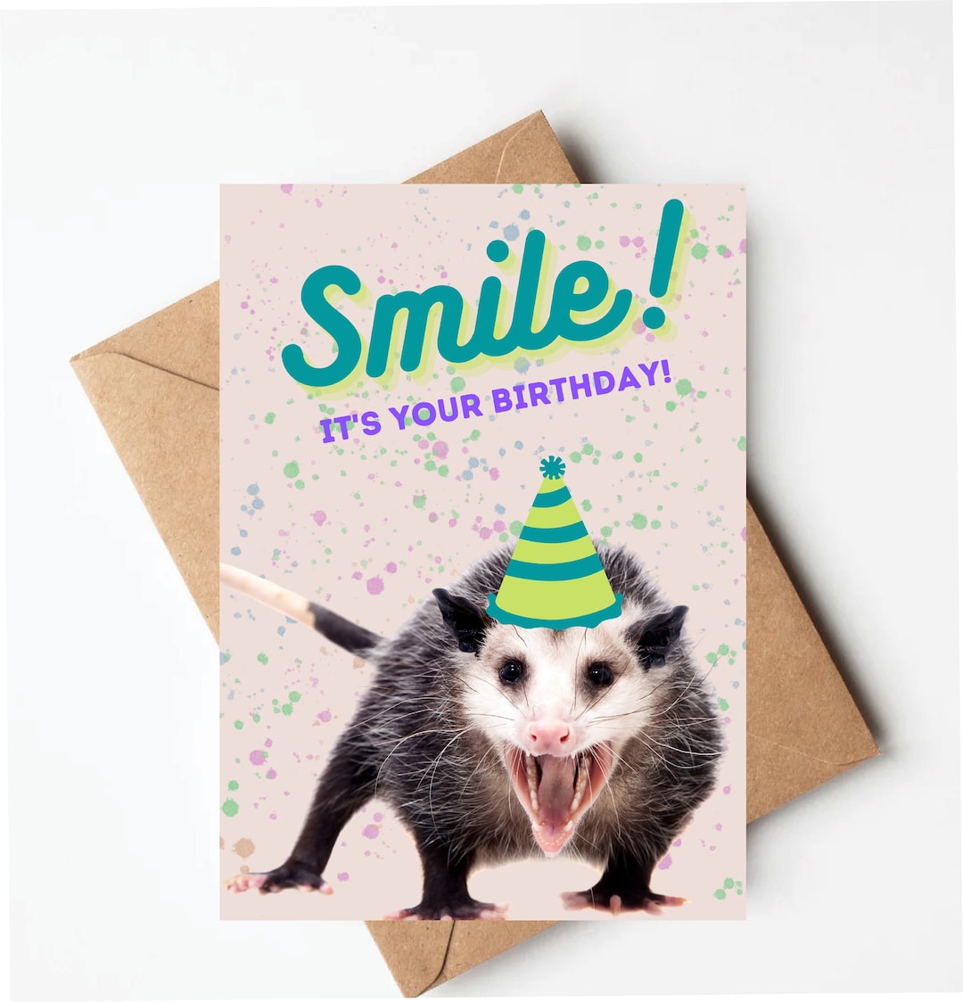 Funny Possum Birthday Card, Opossum Birthday Card, Funny Animal Birthday Card, Smile It's Your ...