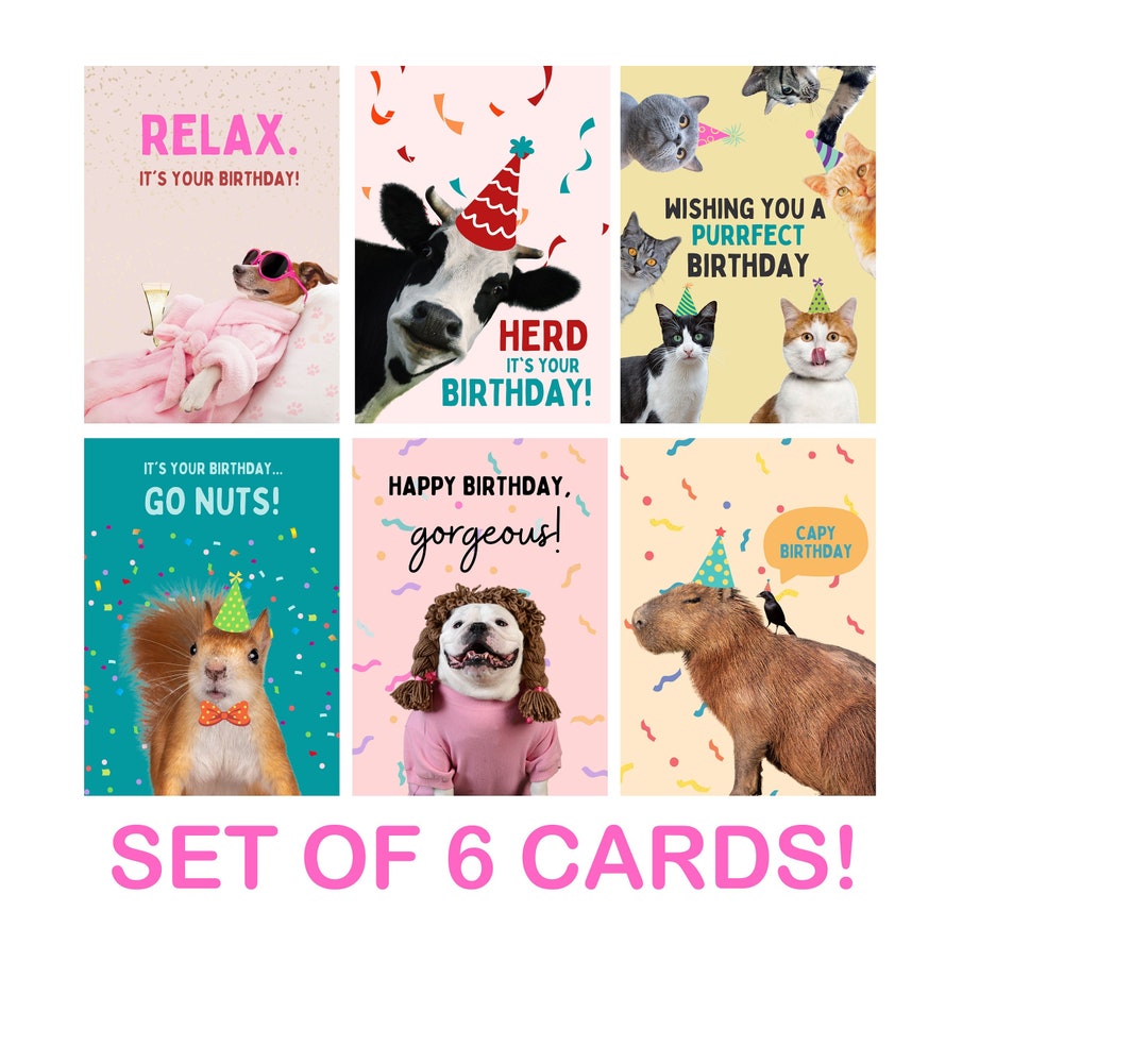 Set of 6 Funny Animal Birthday Cards, Funny Animal Lover Cards ...