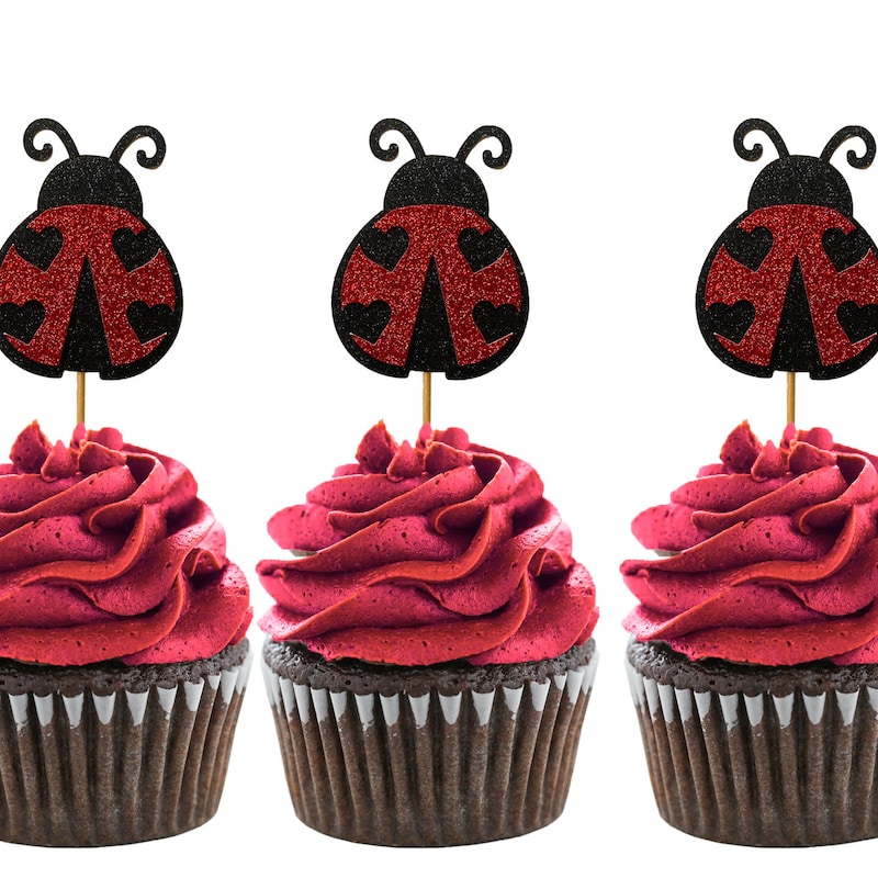 Ladybug Decorations - Etsy