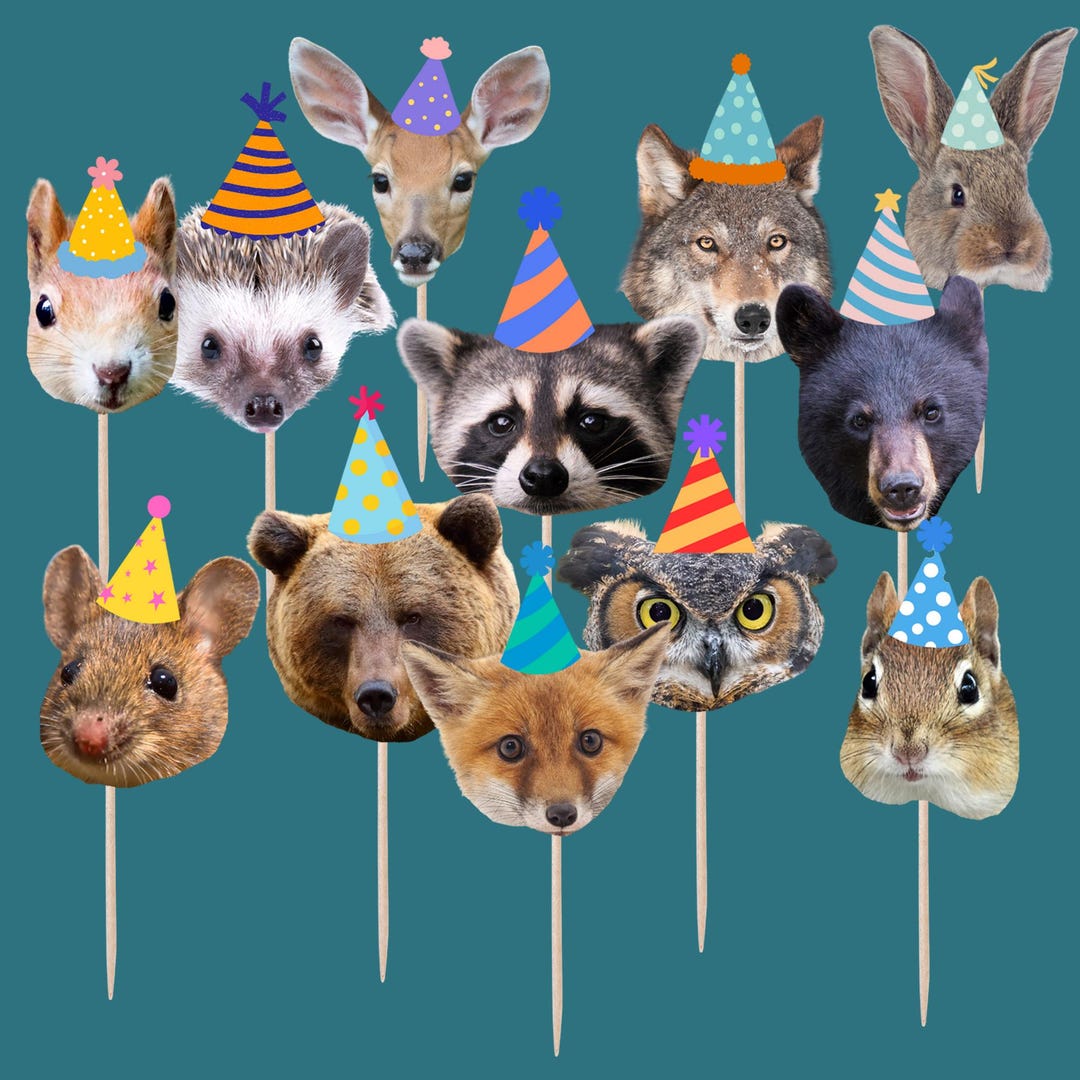 Forest Animal Cupcake Toppers, Funny Forest Woodland Animal Cupcake ...