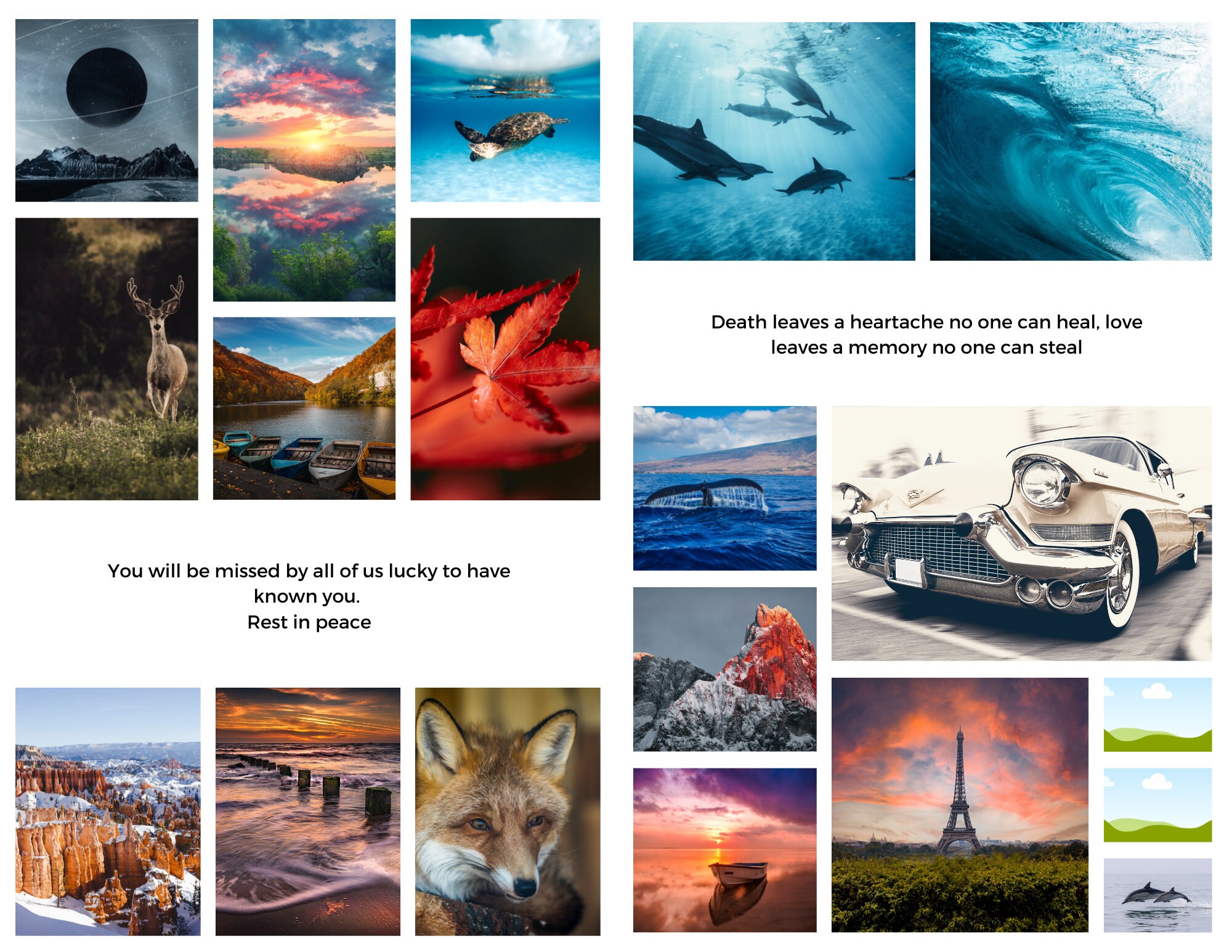 Editable Pink Floral Rose Funeral Program Template Celebration - Etsy