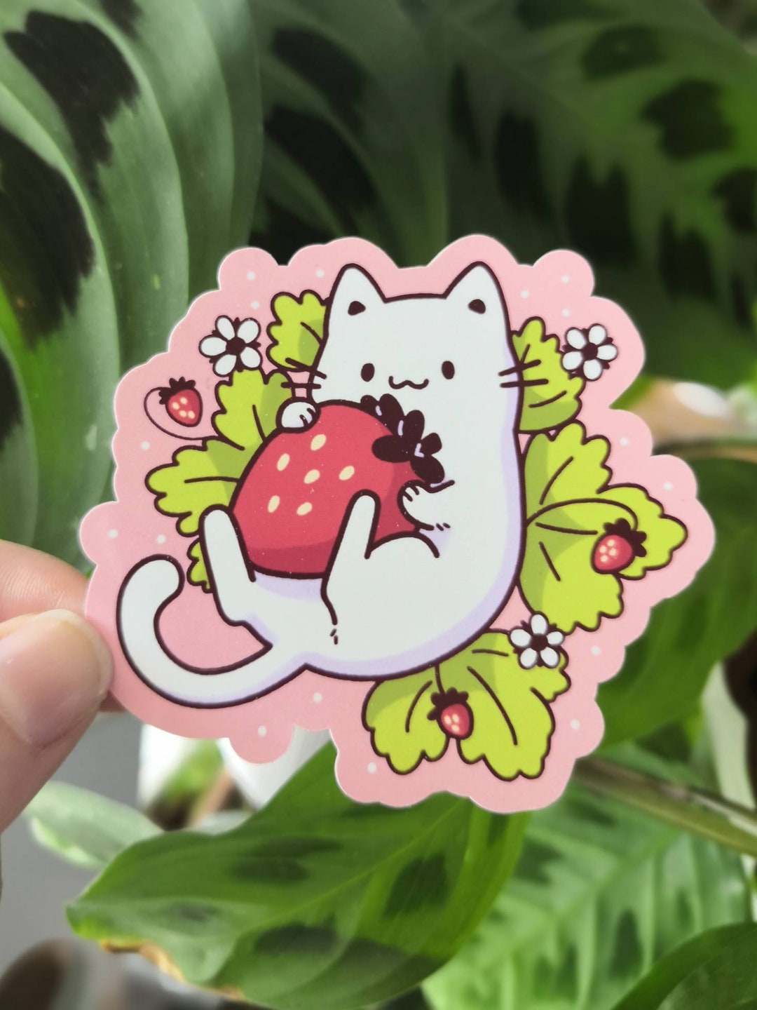 Strawberry Cat Glossy Vinyl Sticker - Etsy
