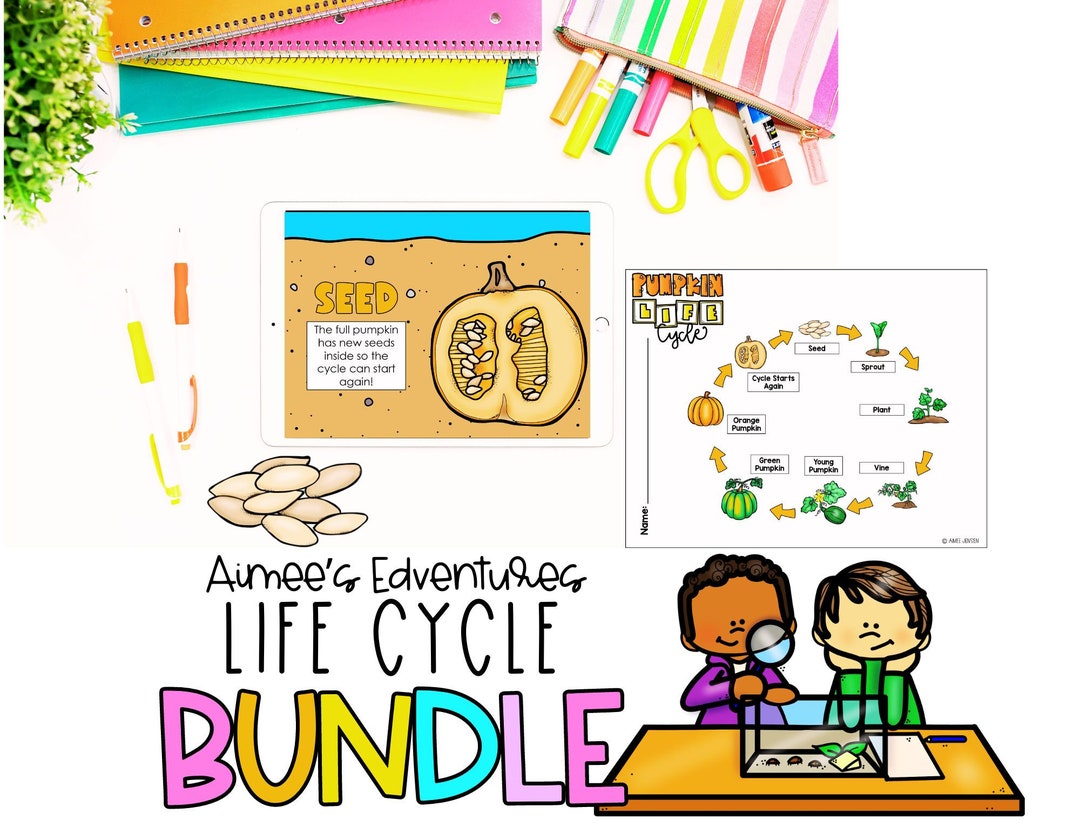 Life Cycle Bundle | Fun Science Activities | Science Presentation ...