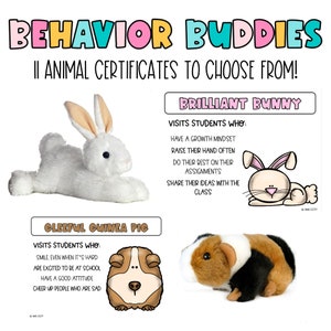 PBIS Pals Pet Theme Pack Classroom Decor Behavior - Etsy