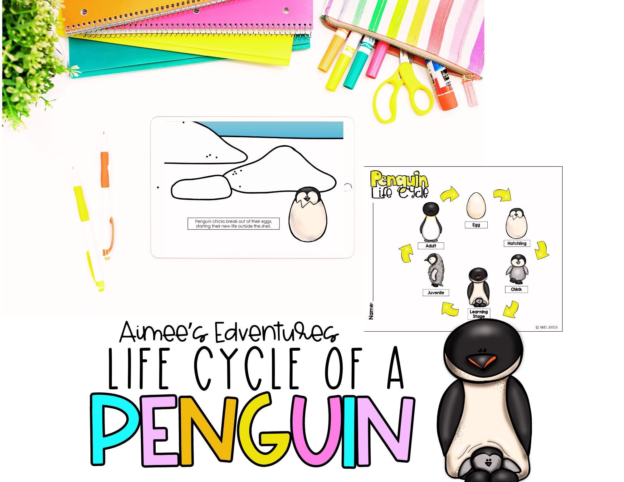 Life Cycle Bundle Fun Science Activities Science Presentation Teacher ...