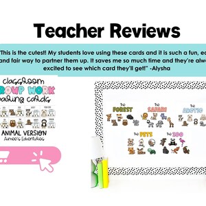 Small Group of 6 Animals Partner Pairing Cards | Classroom Decor ...