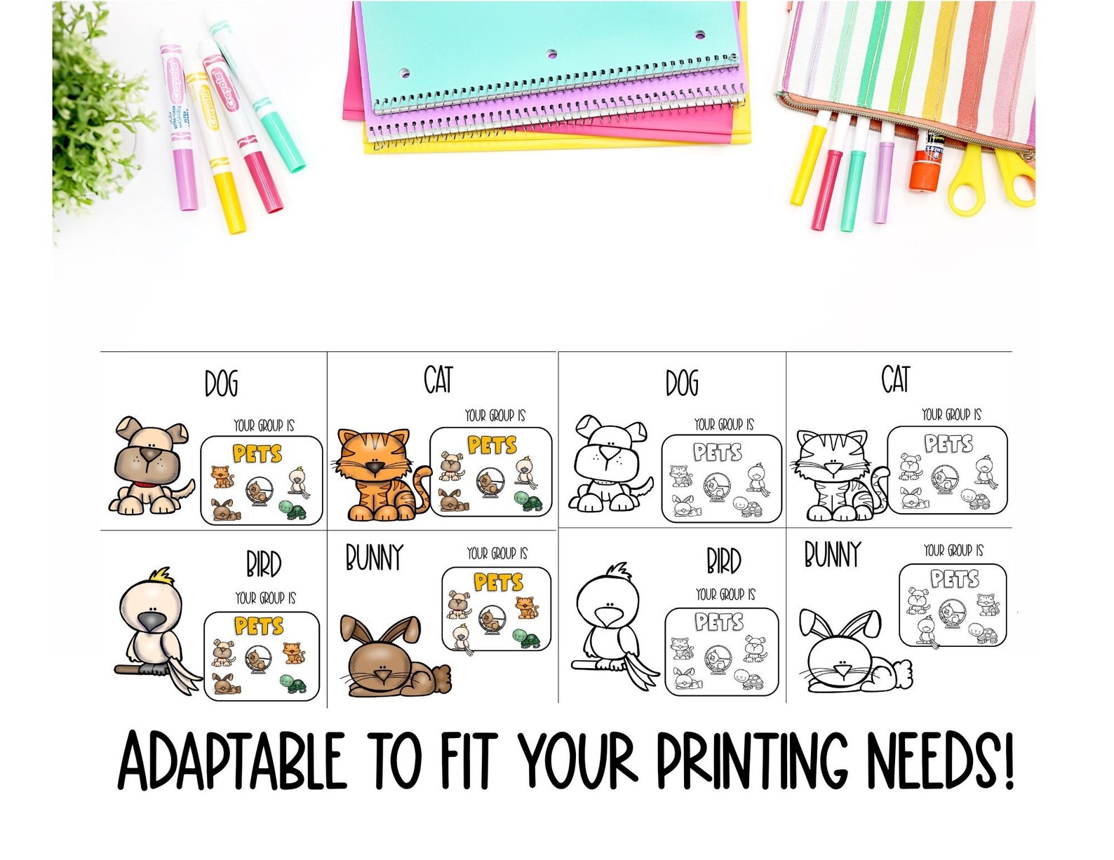Small Group of 6 Animals Partner Pairing Cards | Classroom Decor ...