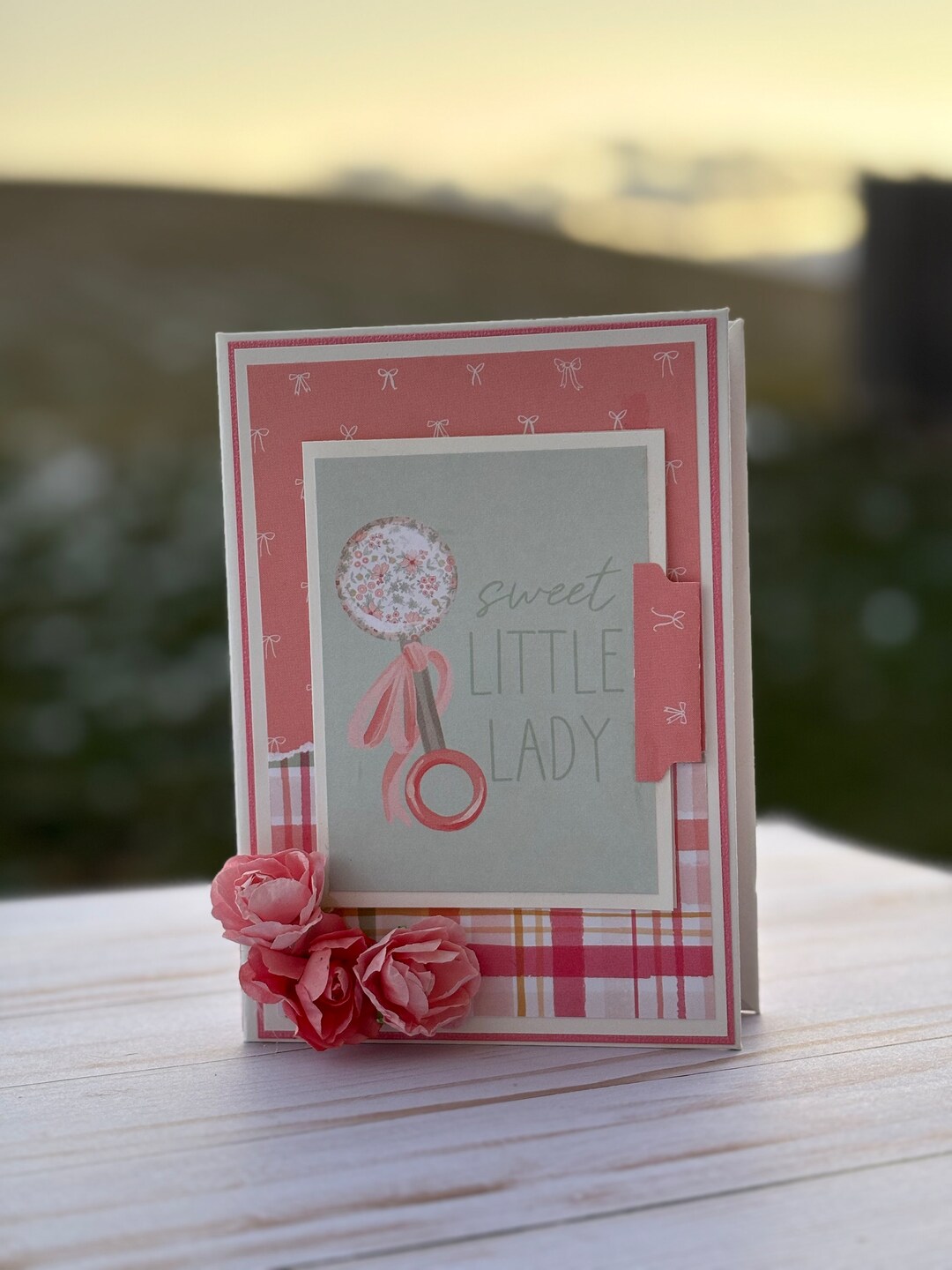 Baby Girl Mini Photo Album Infant Gift Cute Brag Book - Etsy