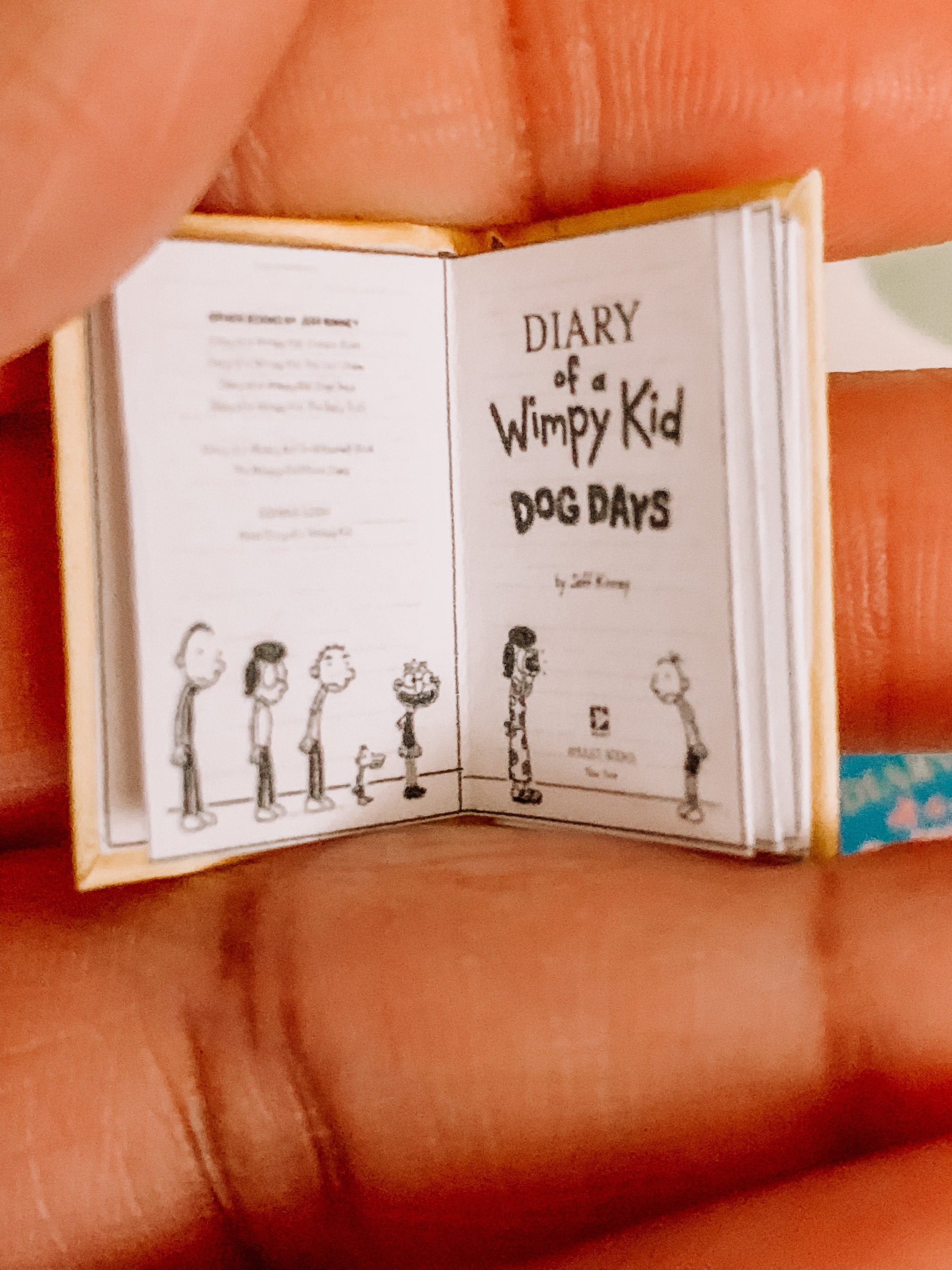 Miniature Diary of a Wimpy Kid Book Series for 1/12 Scale - Etsy UK