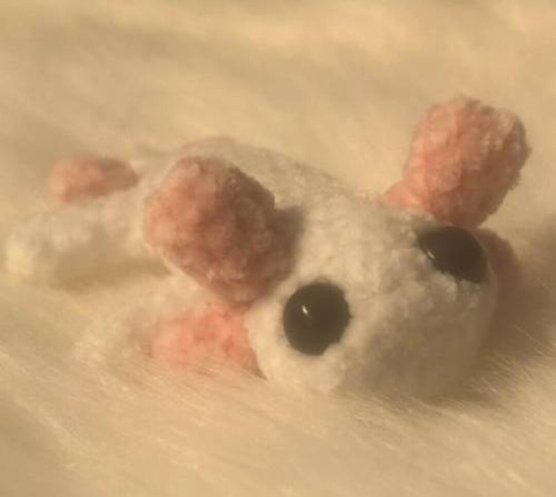 Axon the Axolotl Crochet Pattern - Etsy