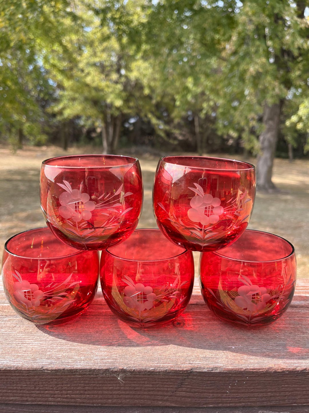 Set of 5 Cranberry Flower Etched Roly Poly Martini Glasses Barware - Etsy