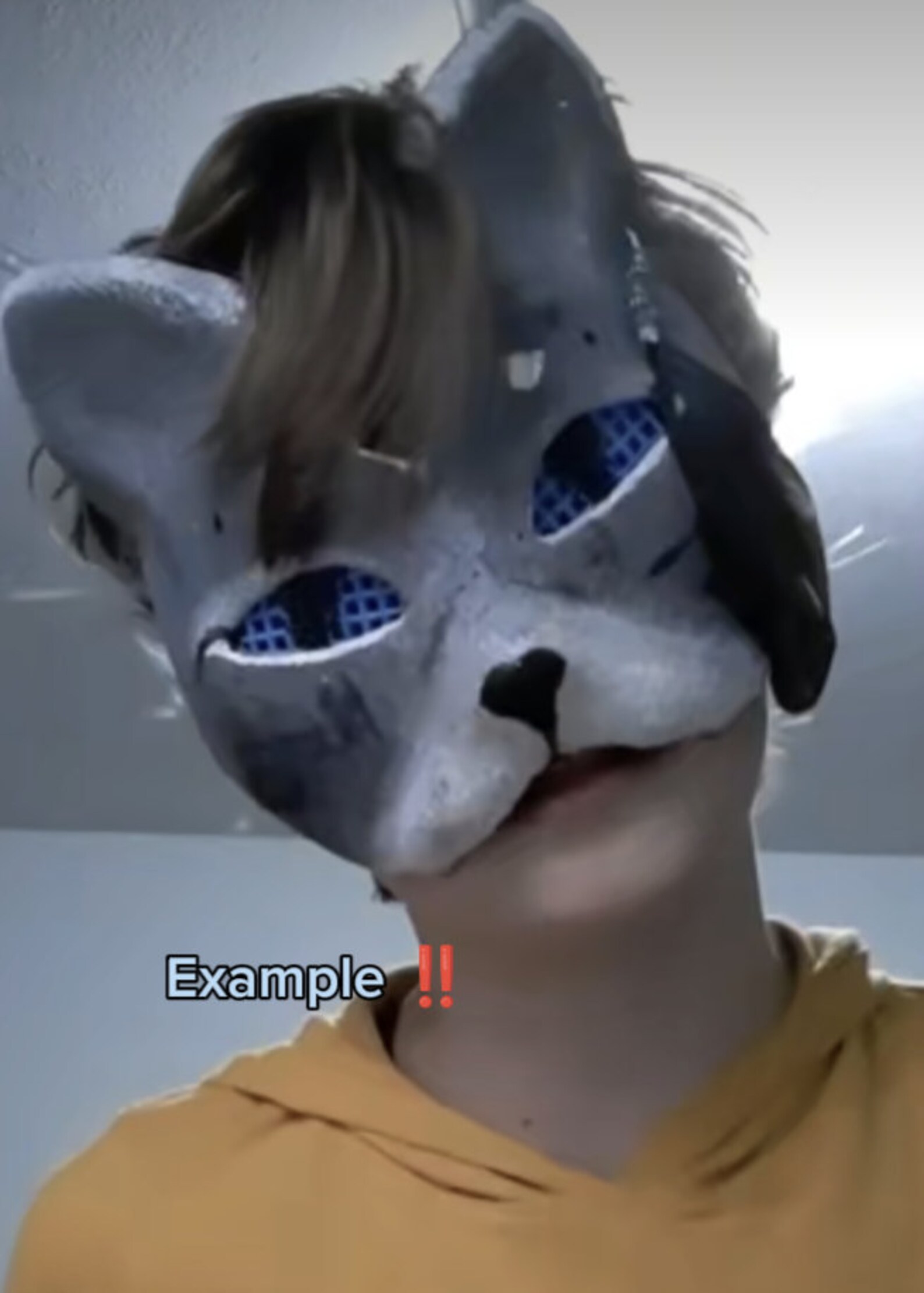 CUSTOM Therian Masks (read Description!!) - Etsy