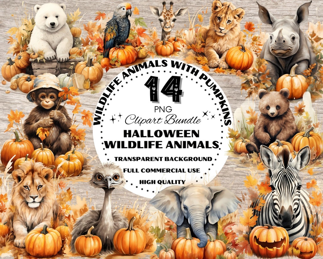 Wildlife Animals Halloween Clipart, Pumpkin Clipart Set, Halloween ...