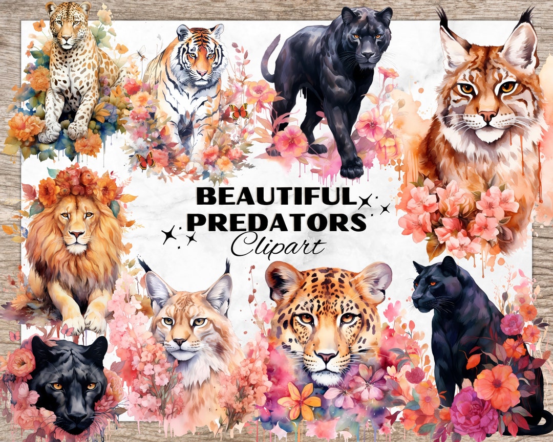 Beautiful Predators Watercolor Clipart, Lion With Flowers Cliparts ...