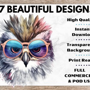 Colorful Owls With Glasses, Watercolor Clipart PNG, Owl Cliparts, Cute ...