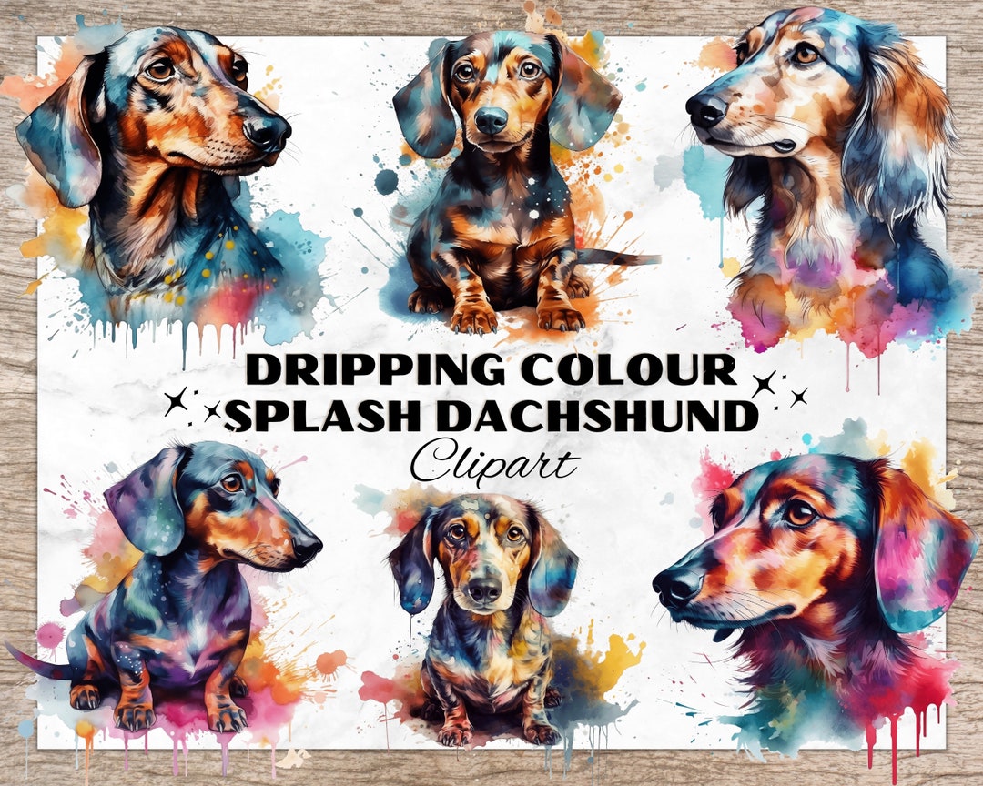 Watercolor Dachshund Dog Bundle, Abstract Wiener Dog Instant Download ...