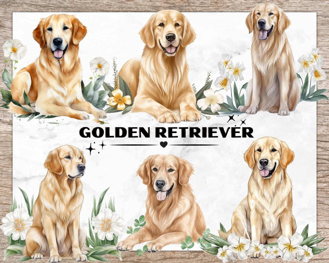 Golden Retriever Bundle, Watercolor Clipart PNG, Dog Clipart, Golden ...