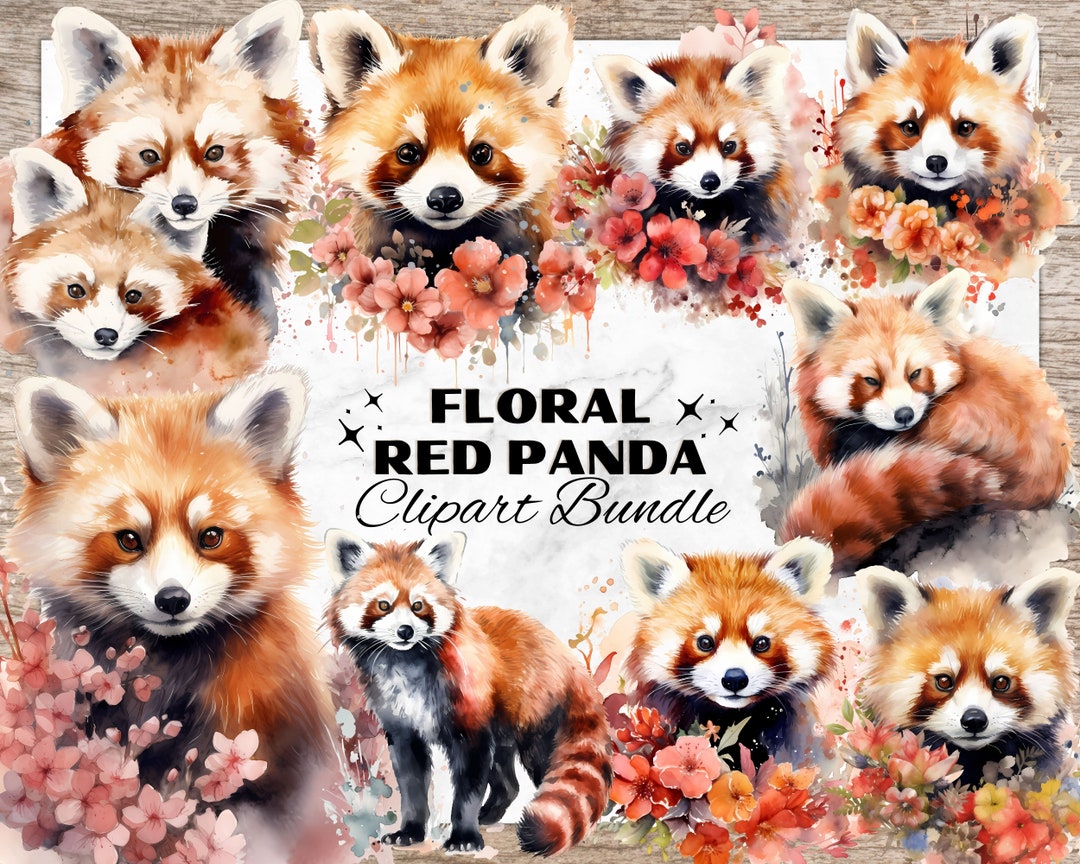 Red Panda Watercolor Clipart, Cute Animal Cliparts, Panda Clipart, Kids ...