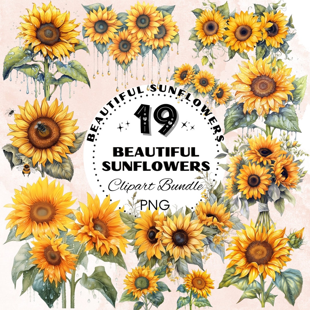 Sunflowers Clipart Bundle, Watercolor Sunflower Graphics for ...