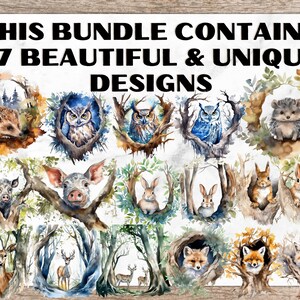 Forest Animals Bundle, Watercolor Clipart PNG, Cute Animal Cliparts ...