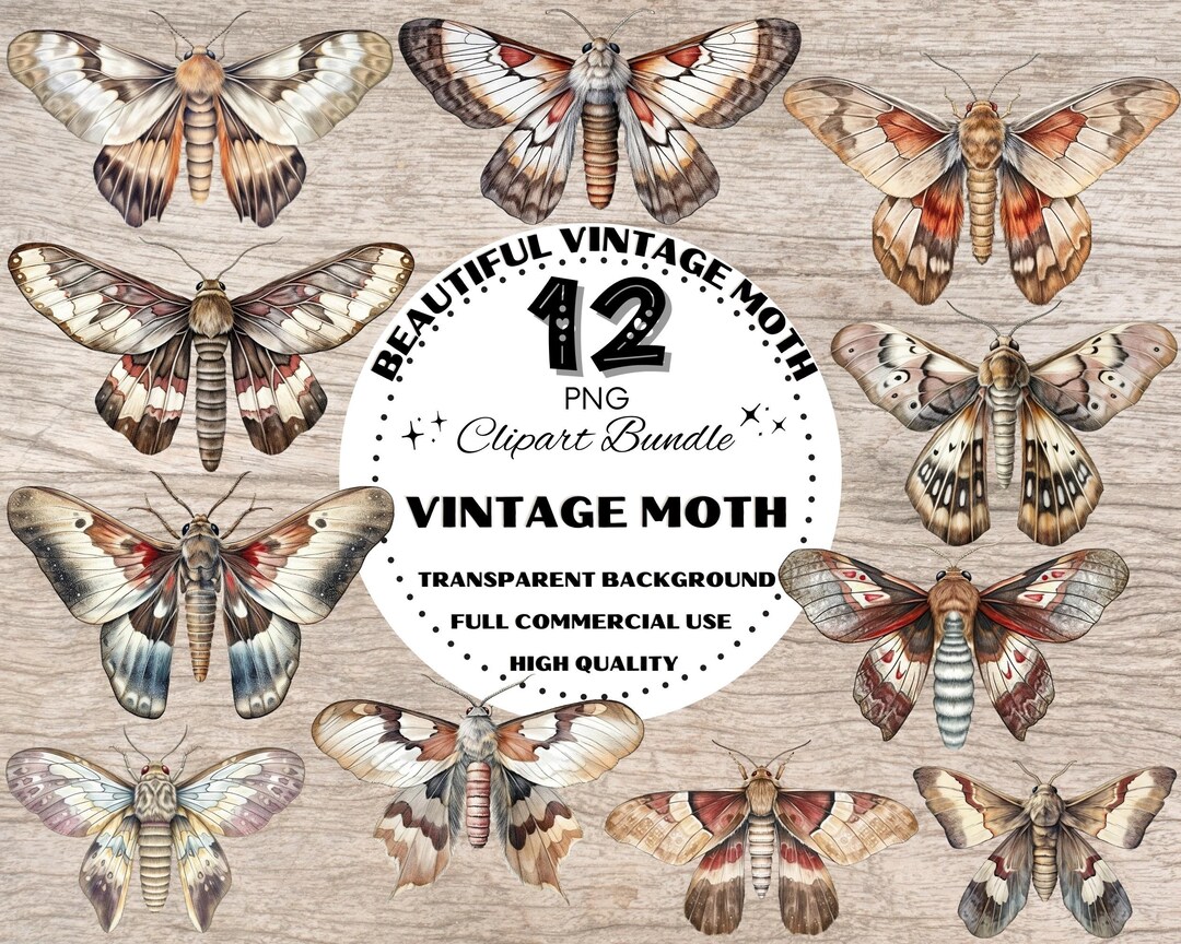 Vintage Moth Watercolor Clipart, Watercolor Moth, Moth Clipart, Vintage ...