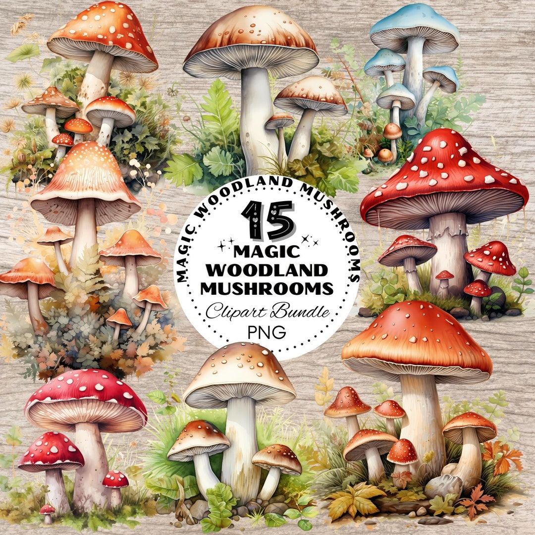 Woodland Forestcore Mushroom Bundle, Watercolor Clipart, Cottagecore ...